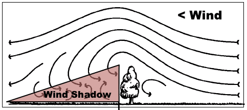What is a Wind Shadow and how it impacts Kites| Great Canadian Kite Company