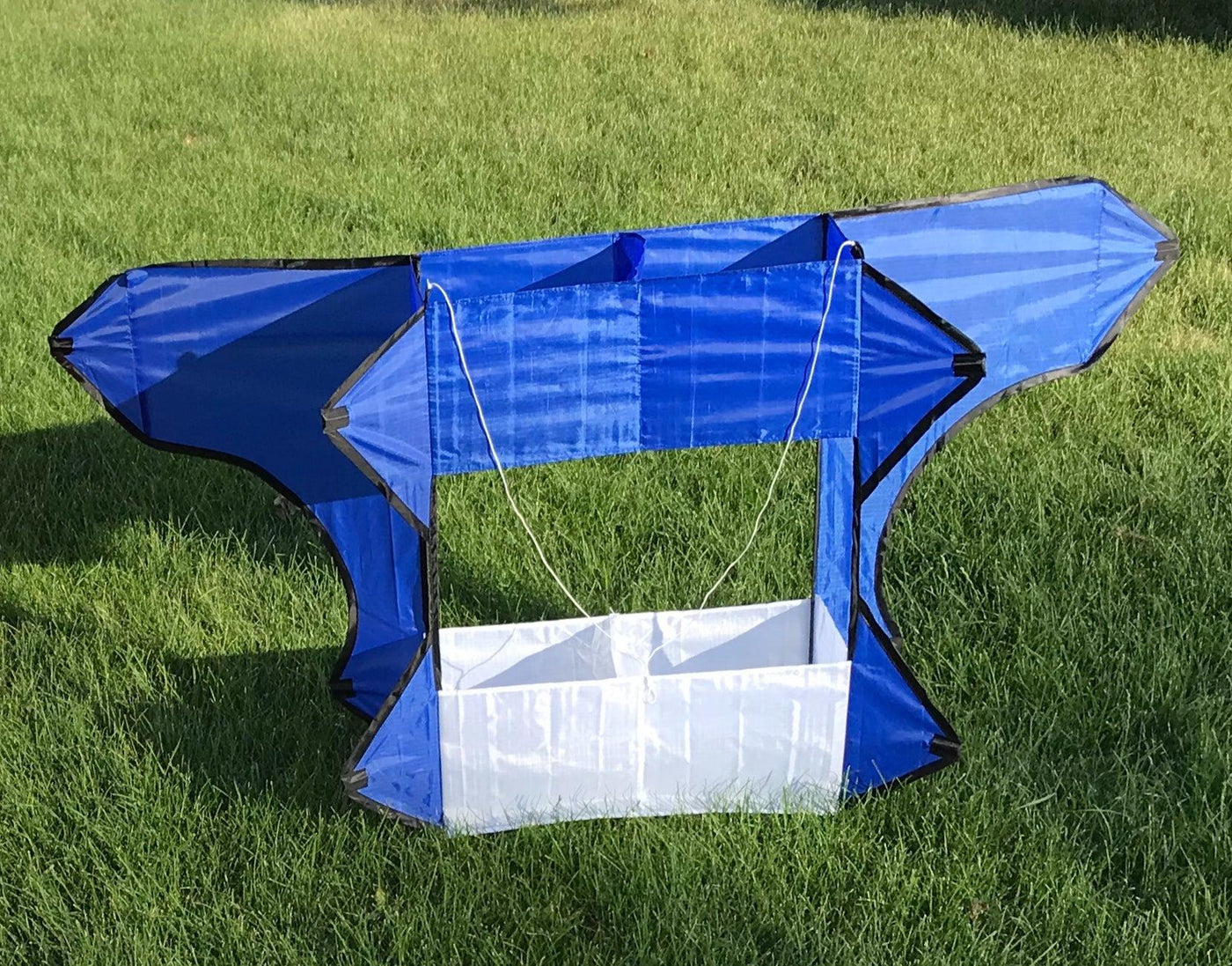 box kites, delta kites, kids kites, easy to fly kites, butterfly kites ...