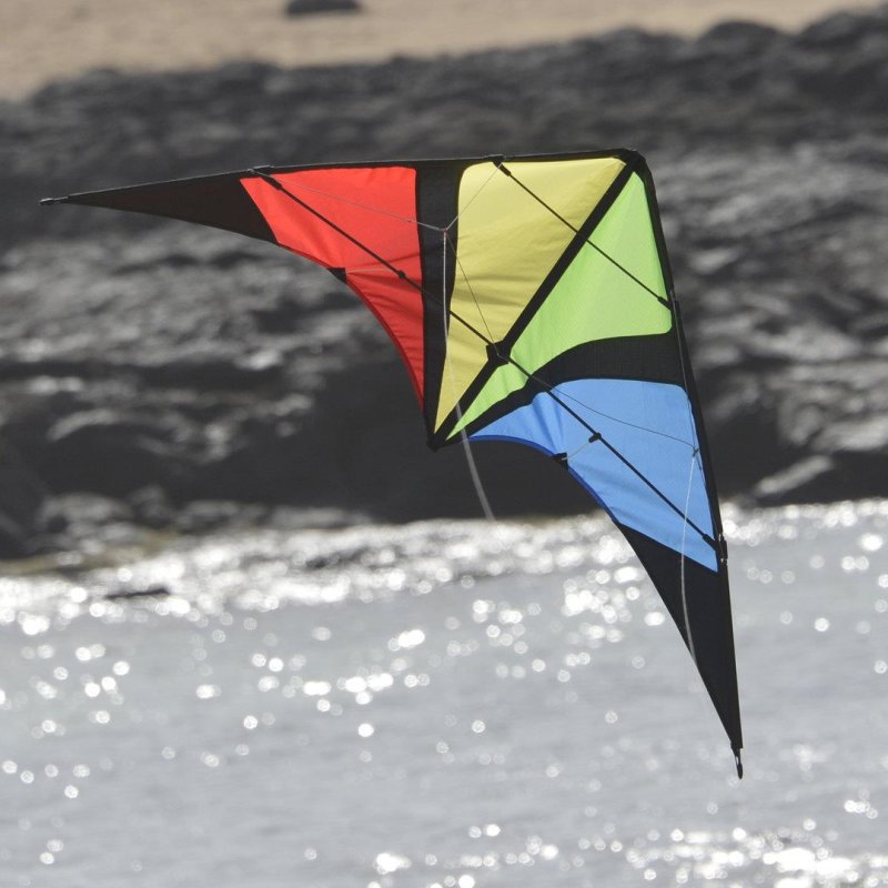 Wingman Beginner Sport Kite 2025| Great Canadian Kite Company